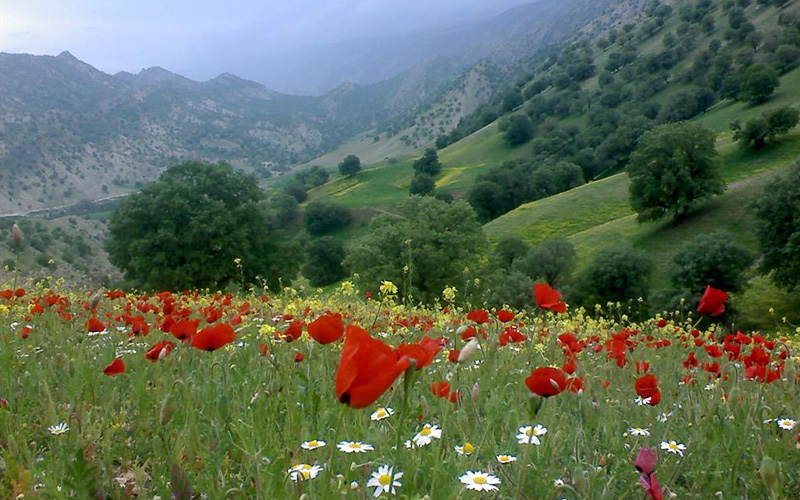 Ilam Province in Iran - Best Iran Tours 2025