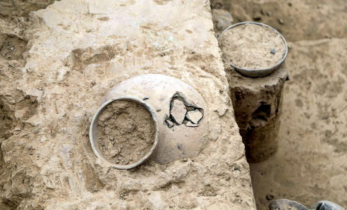 Darakan in Fasa and New Discoveries - Best Iran Tours 2025