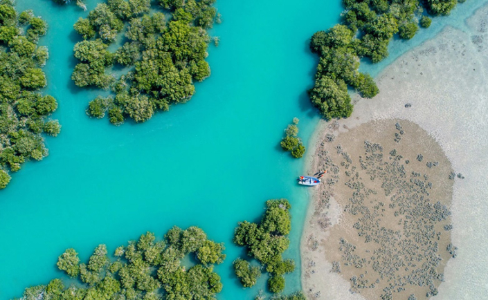 Harra Sea Forest - Best Iran Tours & Travel Packages 2026/2027